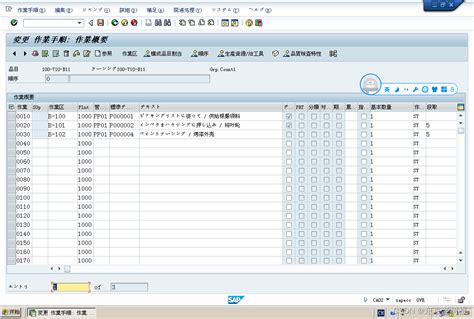Sap Pp学习笔记18 Mto（make To Order）：按订单生产（受注生産） 的策略 20，50，74 Sap Mto Csdn博客
