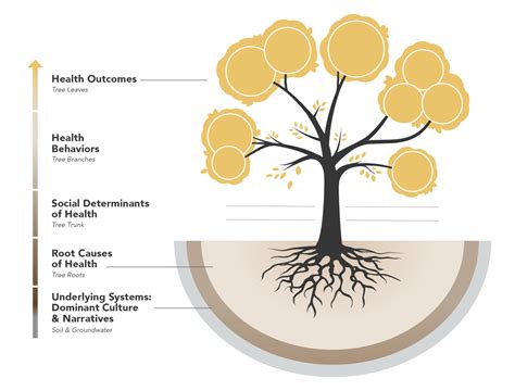 Root Cause Solutions Exchange PVPC