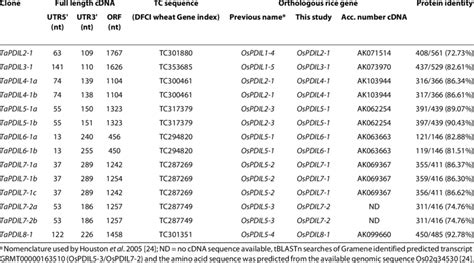 Characteristics Of The Full Length Cdna Sequences Coding For Wheat