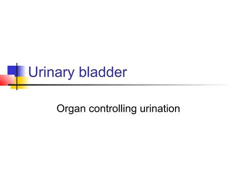 Functioning Of Urinary System PPT