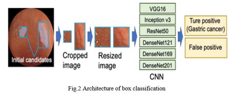 Automated Analysis Of Endoscopic Images