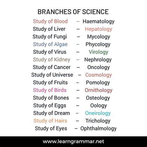 Branches Of Science Learn English Words English Phrases Idioms