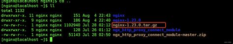 nginx在linux普通用户下安装 普通用户安装nginx csdn博客