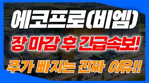 에코프로그룹 장 마감 후 긴급속보 주가 빠지는 진짜 이유 에코프로비엠 에코프로비엠주가 에코프로비엠주가전망 2차전지 2차전지관련주 양극재 박순혁이사