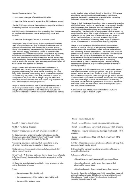 Wound Documentation Tips Anatomical Terms Of Location Wound