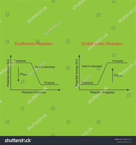 Following Reaction Pathway Diagram Shows That Stock Vector Royalty Free 2285311213 Shutterstock