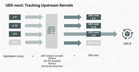 Anita Pierobon On Linkedin Check Out Uek Next Now Updated To The 69