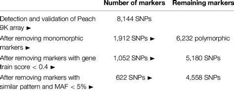 Workflow For SNP Detection Filtering And Final Choice Employed For