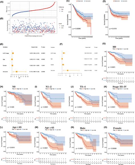 Ab Risk Score And Survival Distribution In The Testing Dataset