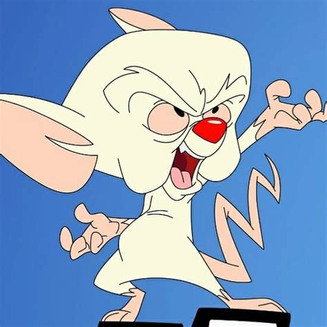 Animaniacs Pinky And The Brain