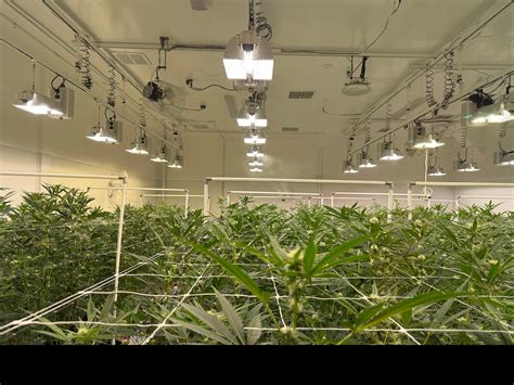 Catalyst Xl Hps Phone And Tablet Filter For Grow Rooms Method Seven