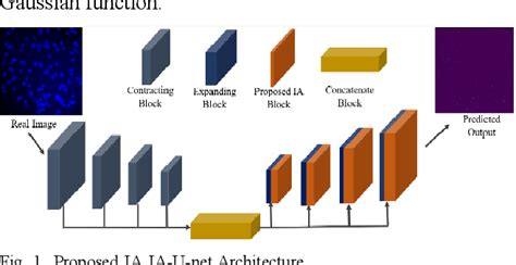 Figure 1 From Automated Cell Counting System Using Improved Implicit