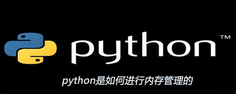 python是如何進行記憶體管理的 python教學 php中文網