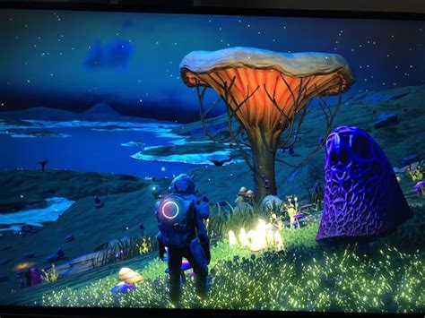 Viridescent Planet With Mild Weather R Nomansskythegame