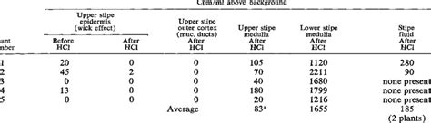 Distribution Of Radioactivity In Plants Kept In The Light Download Table