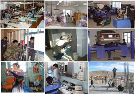 Ш Мөнгөндуулга МСҮТ ийг сонгон суралцагчдын тоо эрчимтэй өссөн