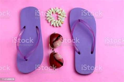 비치 퍼플 비치 플립 플롭 에 비에이 터 선글라스 조개 팔찌와 즙이 많은 선인장 선인장 분홍색 배경 여름 다채로운 여행 바닷가