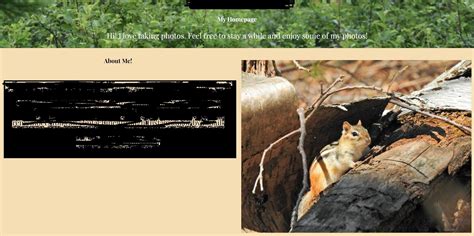 Photos Not Appearing In Firebase Plz Help Rfirebase