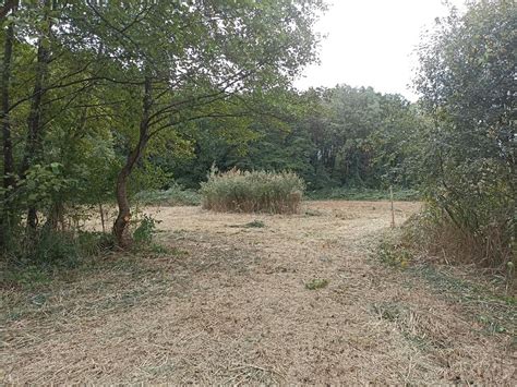 Entretien Automnal Des Zones Humides Restaurées Cisalb