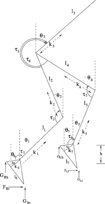 The Seven Link Sagittal Biped Download Scientific Diagram