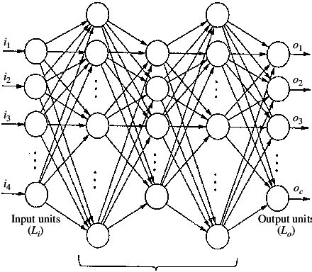 Layered Feedforward Network Structure Download Scientific Diagram