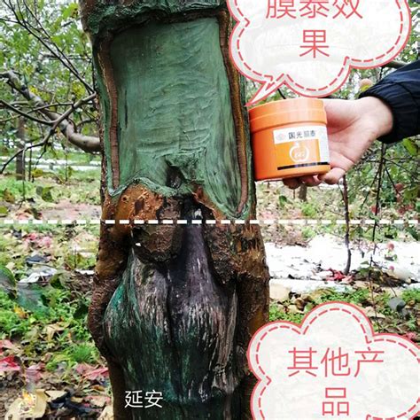 国光泰膜树皮伤口涂抹剂剪锯切口愈合膏树干溃疡流胶甲基硫杀菌剂 虎窝淘