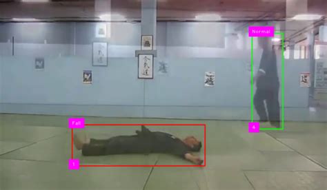 Person Fall Detection System Pyresearch