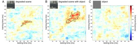 Cross Decoding Of Scene Category Decoding Accuracies From A Classifier Download Scientific