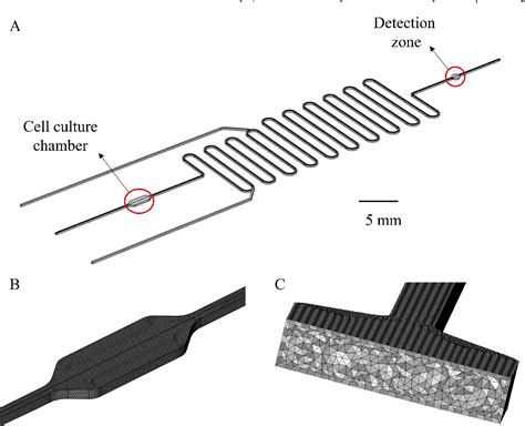 Figure 2 From Pollution Free And Highly Sensitive Lactate Detection In Cell Culture Based On A