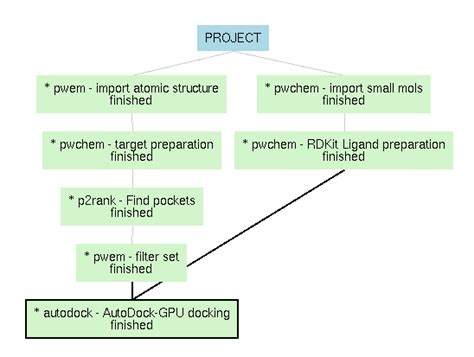 Basic Virtual Drug Screening Workflow