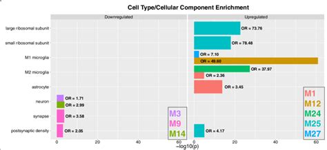 Cell Typecellular Compartment Enrichments For Dysregulated Modules