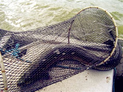 France Denmark Fyke Net Eel Trap Buy Eel Trapfyke Netee Fyke Net Product On