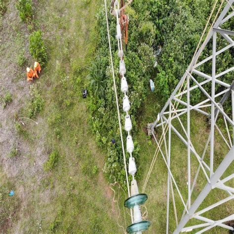 Danified Insulators Object Detection Dataset And Pre Trained Model By Giomartins