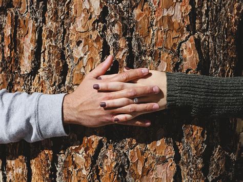 Ways To Rebuild A Relationship With A Partner You Can T Trust