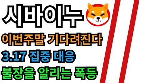 시바이누 코인 317일 집중대응 불장을 알리는 폭등이 시작될겁니다 시바이누전망 도지코인 비트코인 이더리움