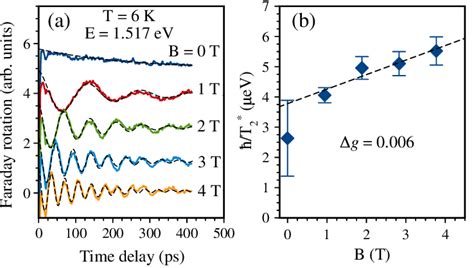 Time Resolved Faraday Rotation At T 6 K For E 1517 Ev Detection
