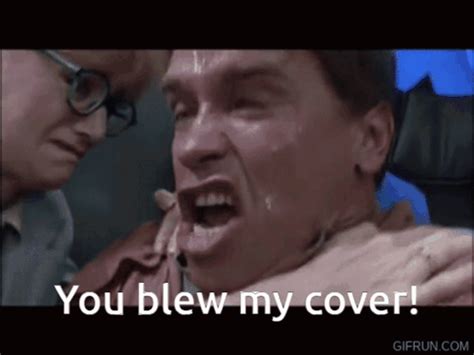 You Blew My Cover Arnold  You Blew My Cover Blew My Discover