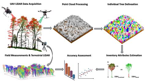Remote Sensing Free Full Text Estimation Of Northern Hardwood Forest Inventory Attributes