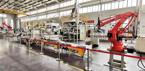 Heavy Duty Pallet Conveyor System For Packaging Automated Palletizing Solution China Packaging