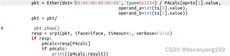 P4 Tutorials 所有总结p4tutorials讲解 Csdn博客