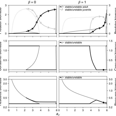 Model Equilibria As A Function Of Juvenile Resource Specialization Download Scientific Diagram