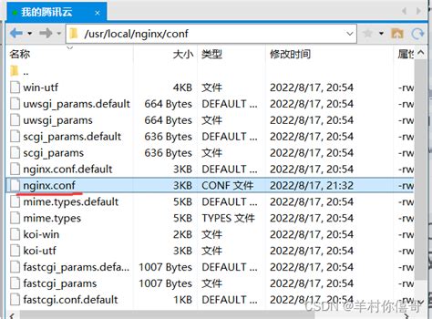 Linux安装nginx部署vue项目 Zhangzhiping35 博客园