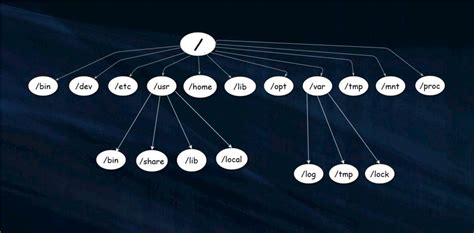 Linux Directory Structure And Filesystem Hierarchy Bytexd