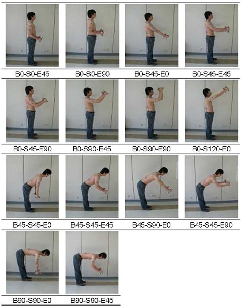 Figure 1 From The Effects Of Coordinated Upper Limb Postures Of Back Shoulder And Elbow