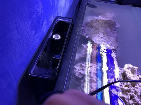 Help Bulkhead Leaking And Vacation Tomorrow Reef2reef