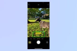 10 Hidden IPhone Camera Features To Make You A Better Photographer Tom S Guide