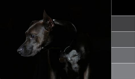 Color Psychology And Its Impact On Human Behavior