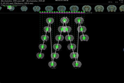 abba python deepslice registration local is worse than web usage
