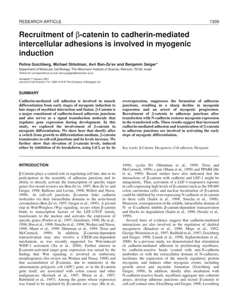 Pdf Recruitment Of β Catenin To Cadherin Mediated Intercellular Adhesions Is Involved In