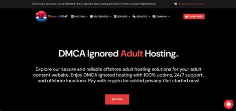 Offshore DMCA Ignored Adult Hosting Starting At 3 99 Month